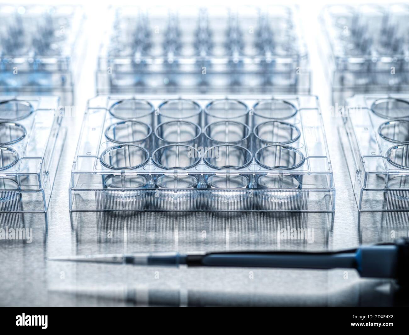 Microplates hi-res stock photography and images - Alamy