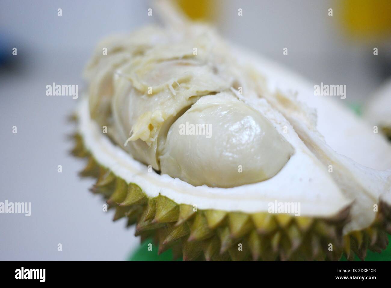 Cross section the fruit the durian hi-res stock photography and images ...