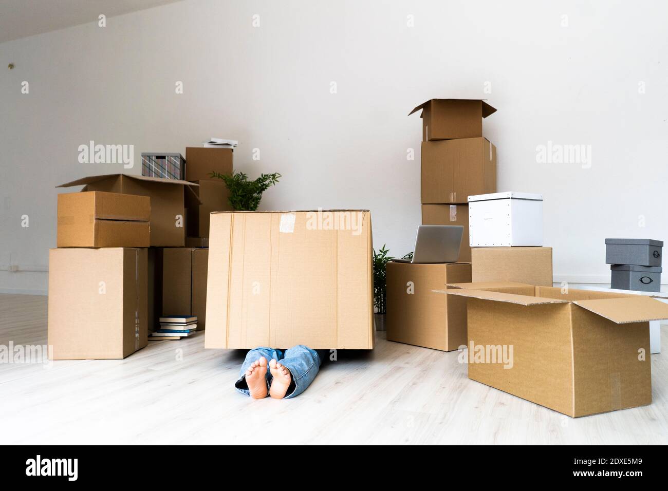Young man covered inside cardboard box lying down in new apartment ...