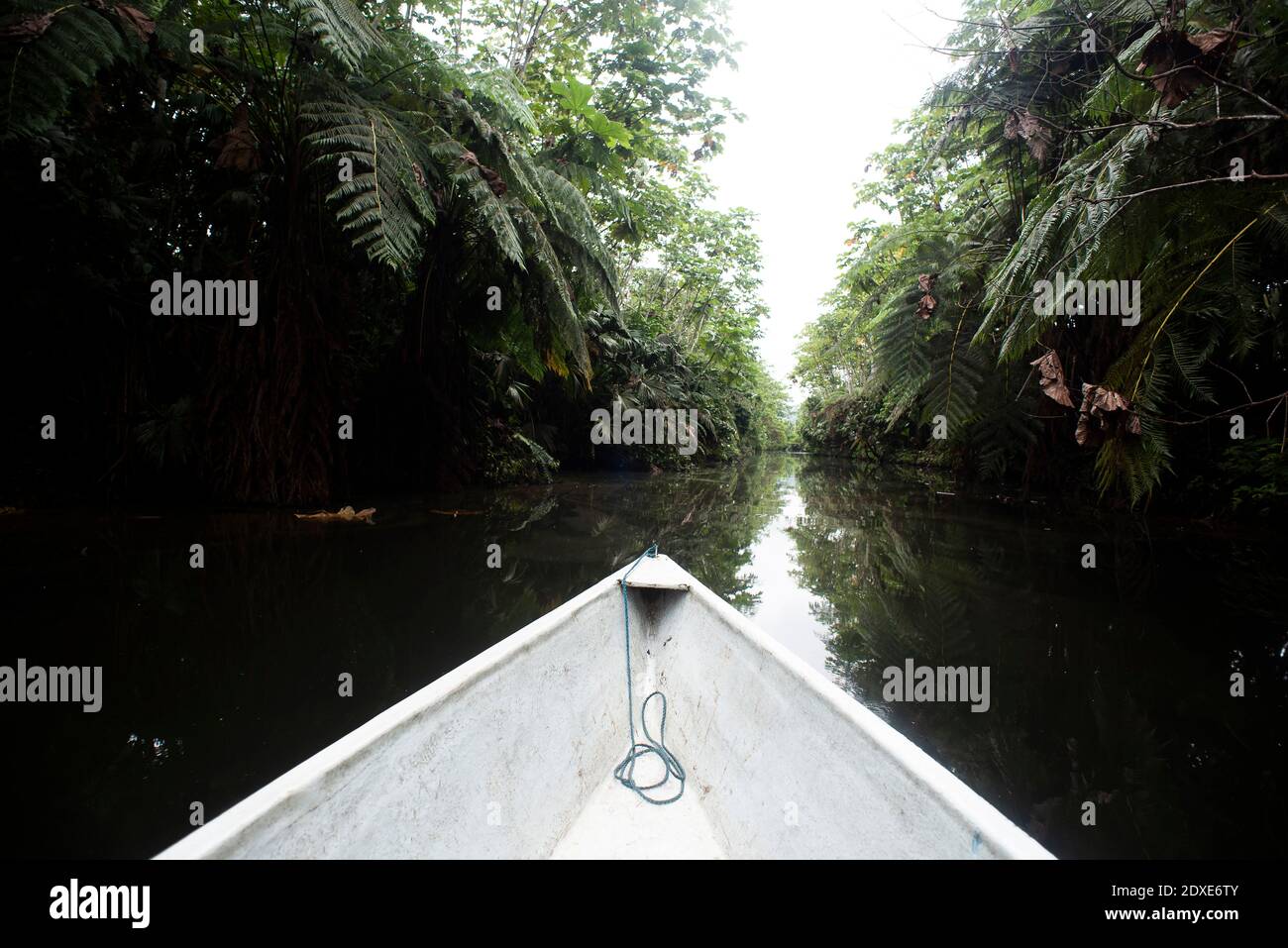White ship's bow on Napo River amidst trees, Ecuador Stock Photo - Alamy