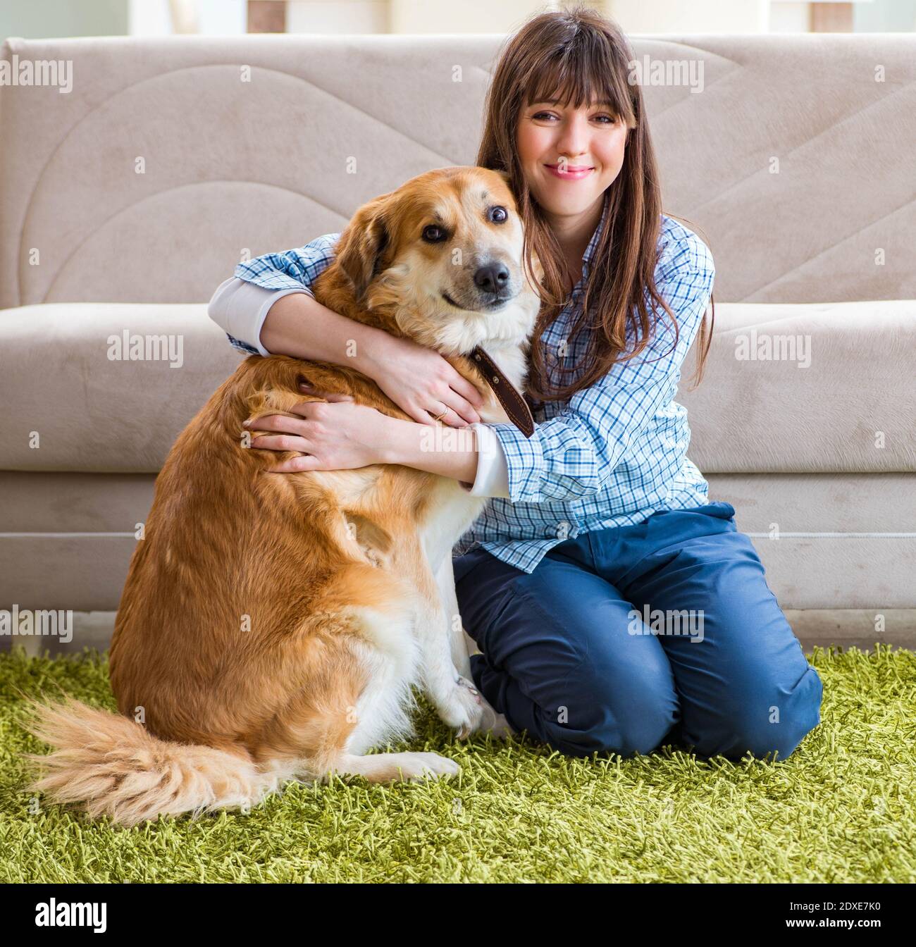 The happy woman dog owner at home with golden retriever Stock Photo - Alamy