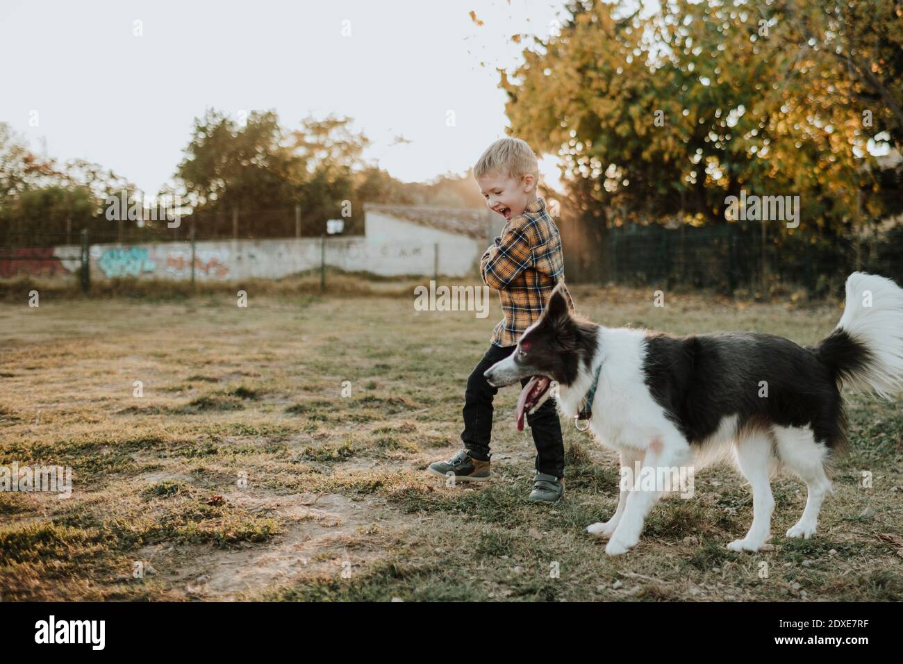 Happy boy playing with dog on playground during sunset Stock Photo - Alamy