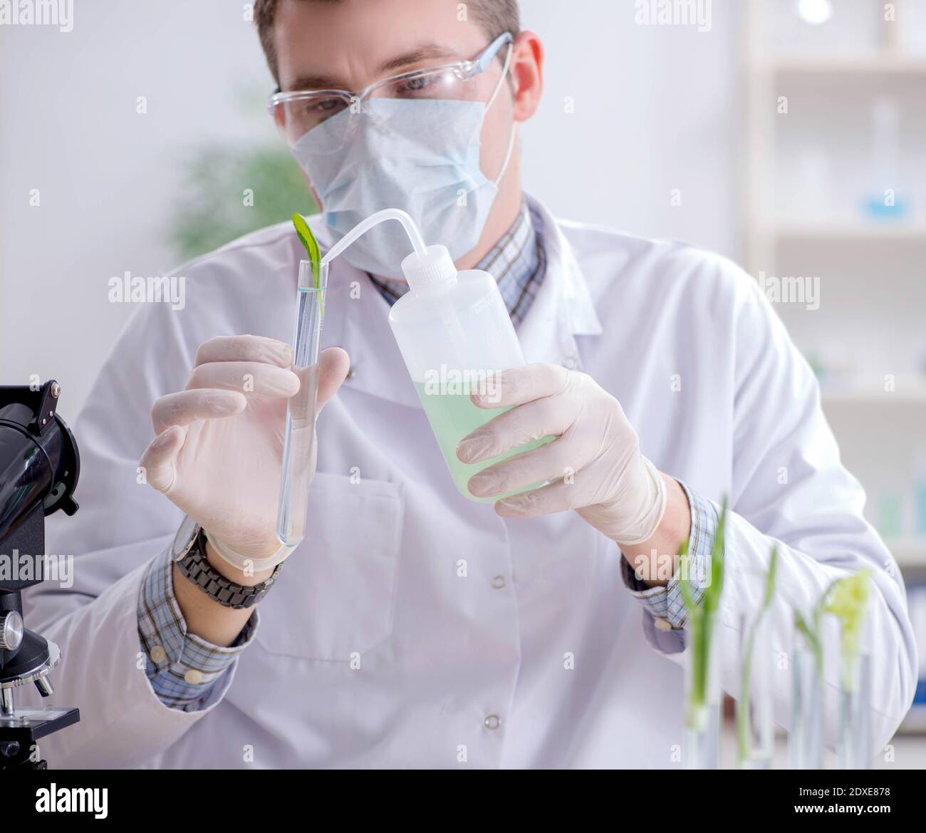 The male biochemist working in the lab on plants Stock Photo - Alamy