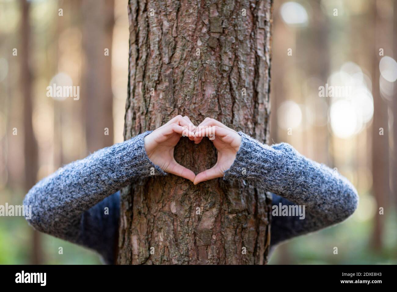 Woman embracing tree and making heart shape in Cannock Chase forest ...