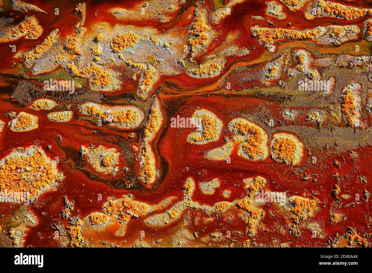 Dried riverbed with rock formations Stock Photo - Alamy