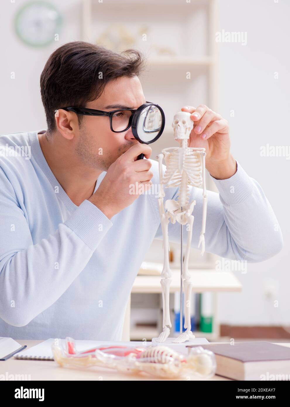 The two medical students studying in classroom Stock Photo - Alamy