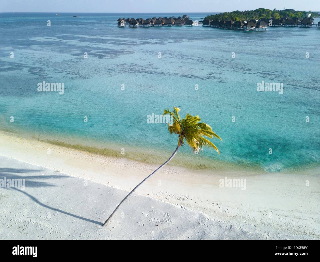 Palm beaches birds eye view hi-res stock photography and images - Alamy