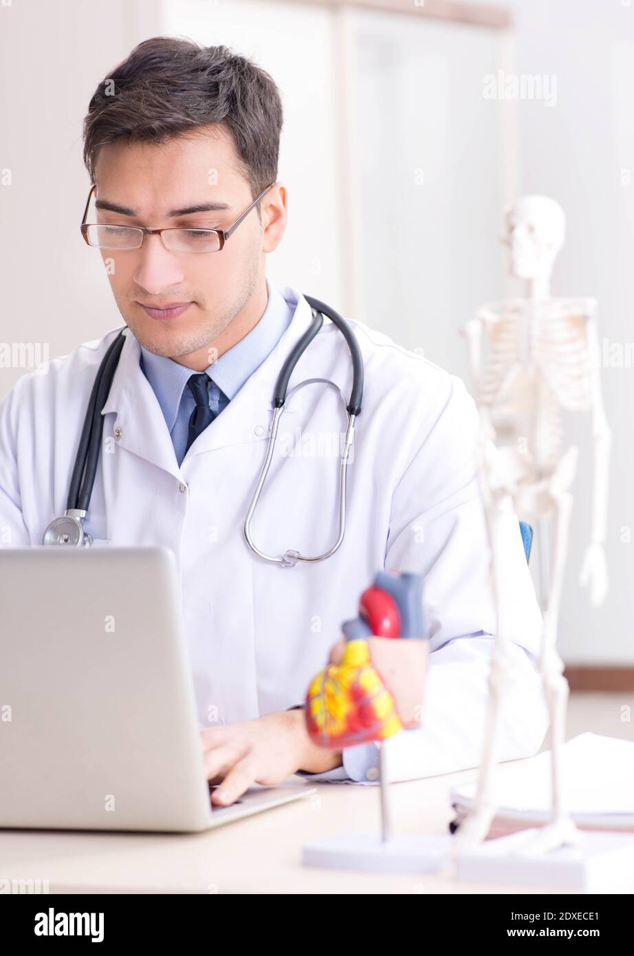 The doctor lecturer explaining the heart model Stock Photo - Alamy