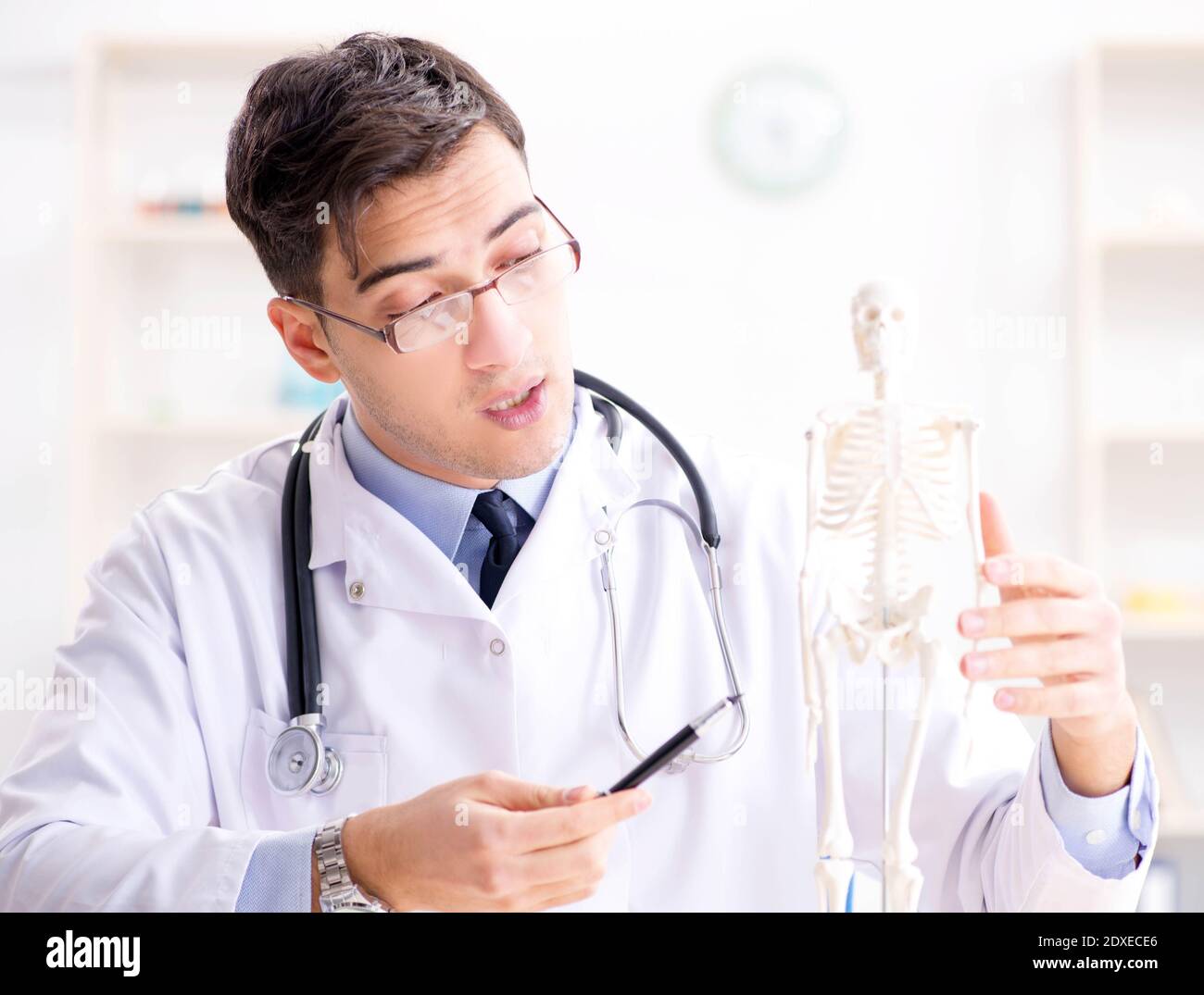 The doctor explaining human body on skeleton Stock Photo - Alamy