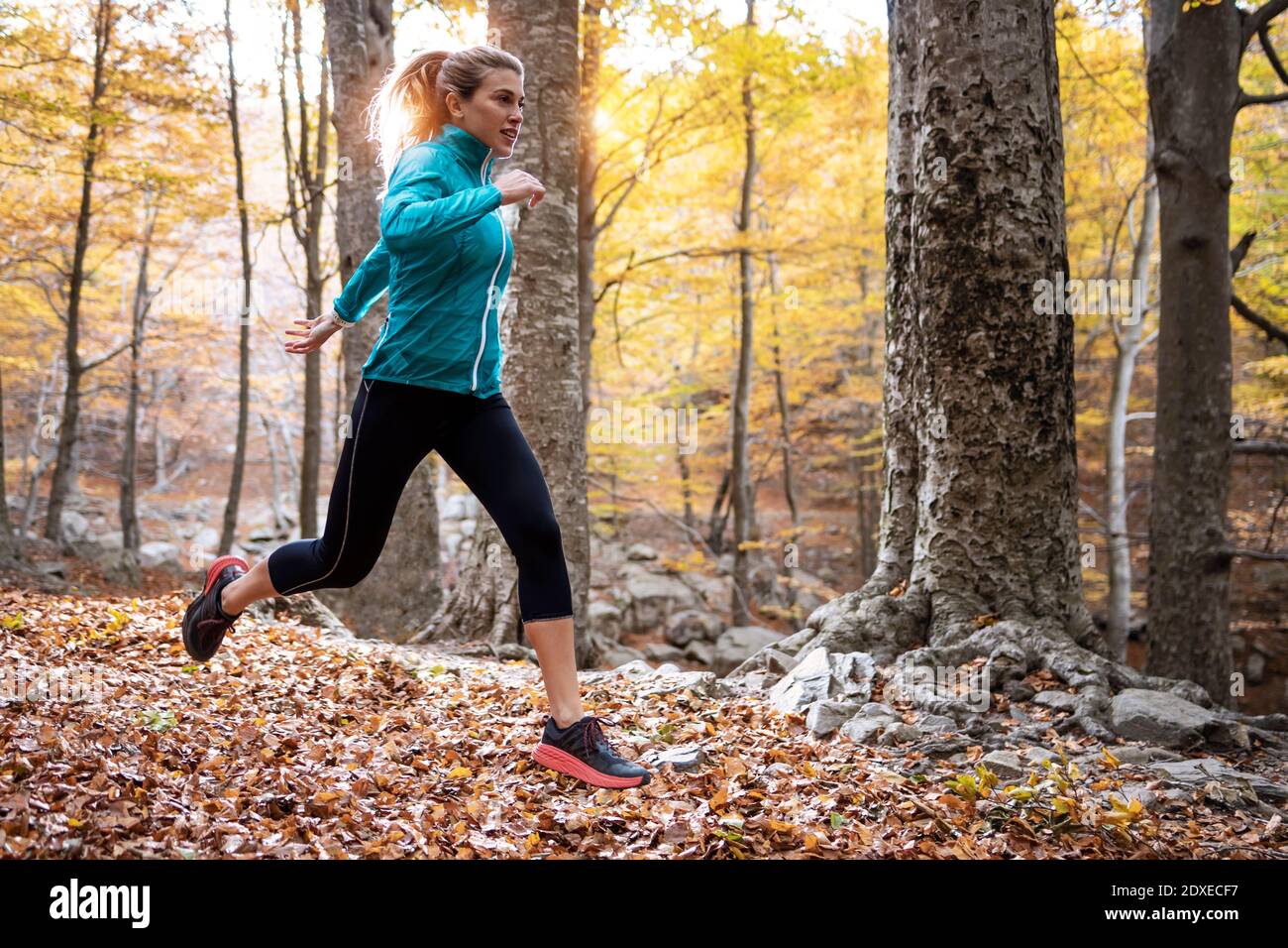Athlete running in forest hi-res stock photography and images - Alamy