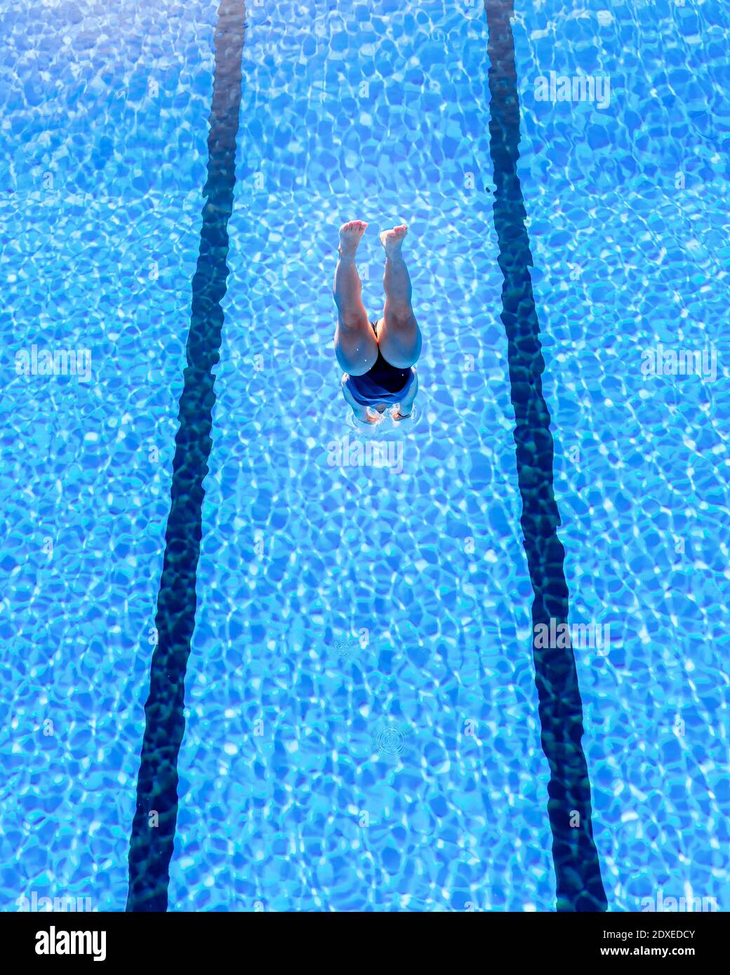 Young woman diving into swimming pool on sunny day Stock Photo - Alamy