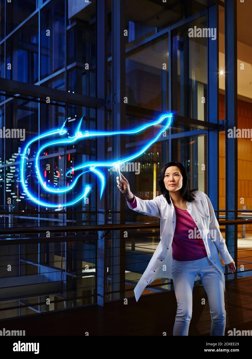 Mature female internist light painting pancreas in laboratory at ...