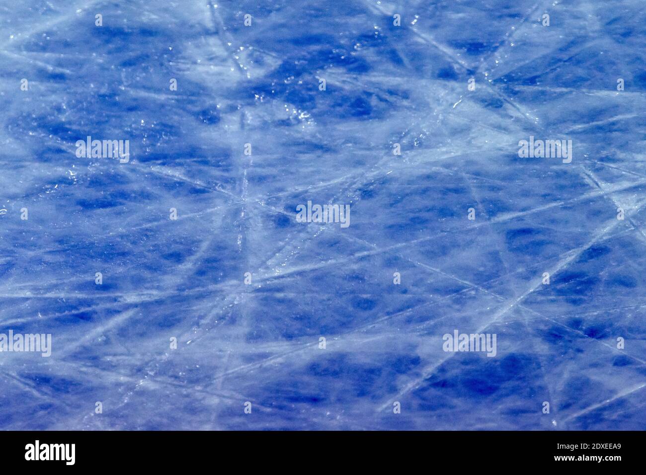 Ice rink blue line hi-res stock photography and images - Alamy