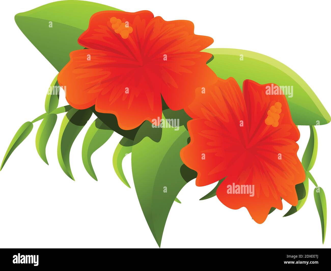 Garden hibiscus icon. Cartoon of garden hibiscus vector icon for web ...