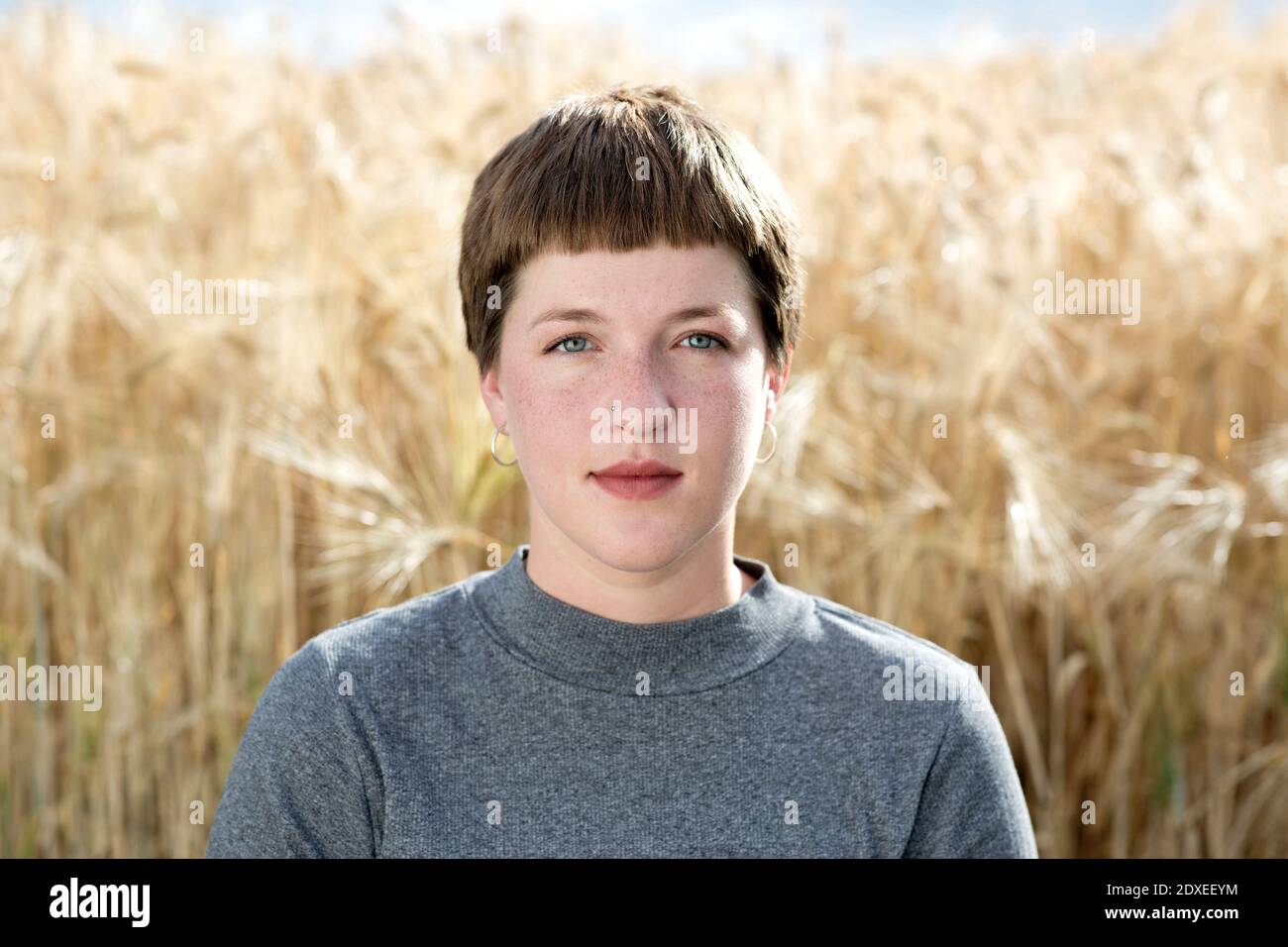 Barley grey hi-res stock photography and images - Alamy