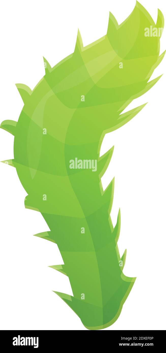 Thistle green leaf icon. Cartoon of thistle green leaf vector icon for ...