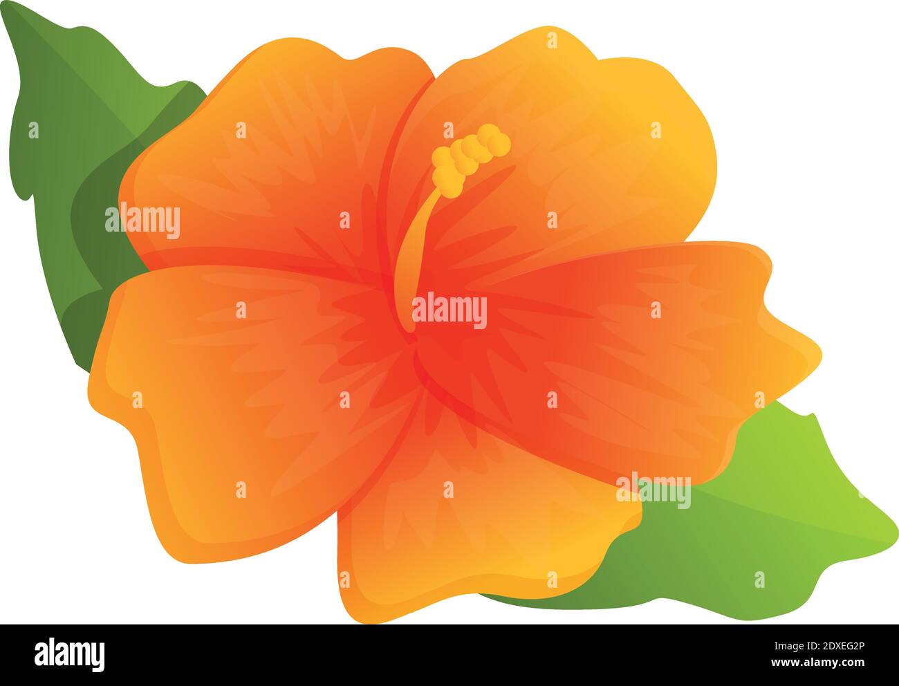 Plant hibiscus icon. Cartoon of plant hibiscus vector icon for web ...