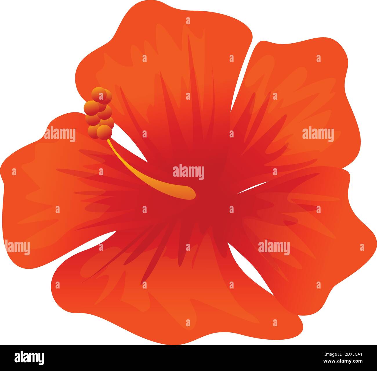 Tropical hibiscus icon. Cartoon of tropical hibiscus vector icon for ...