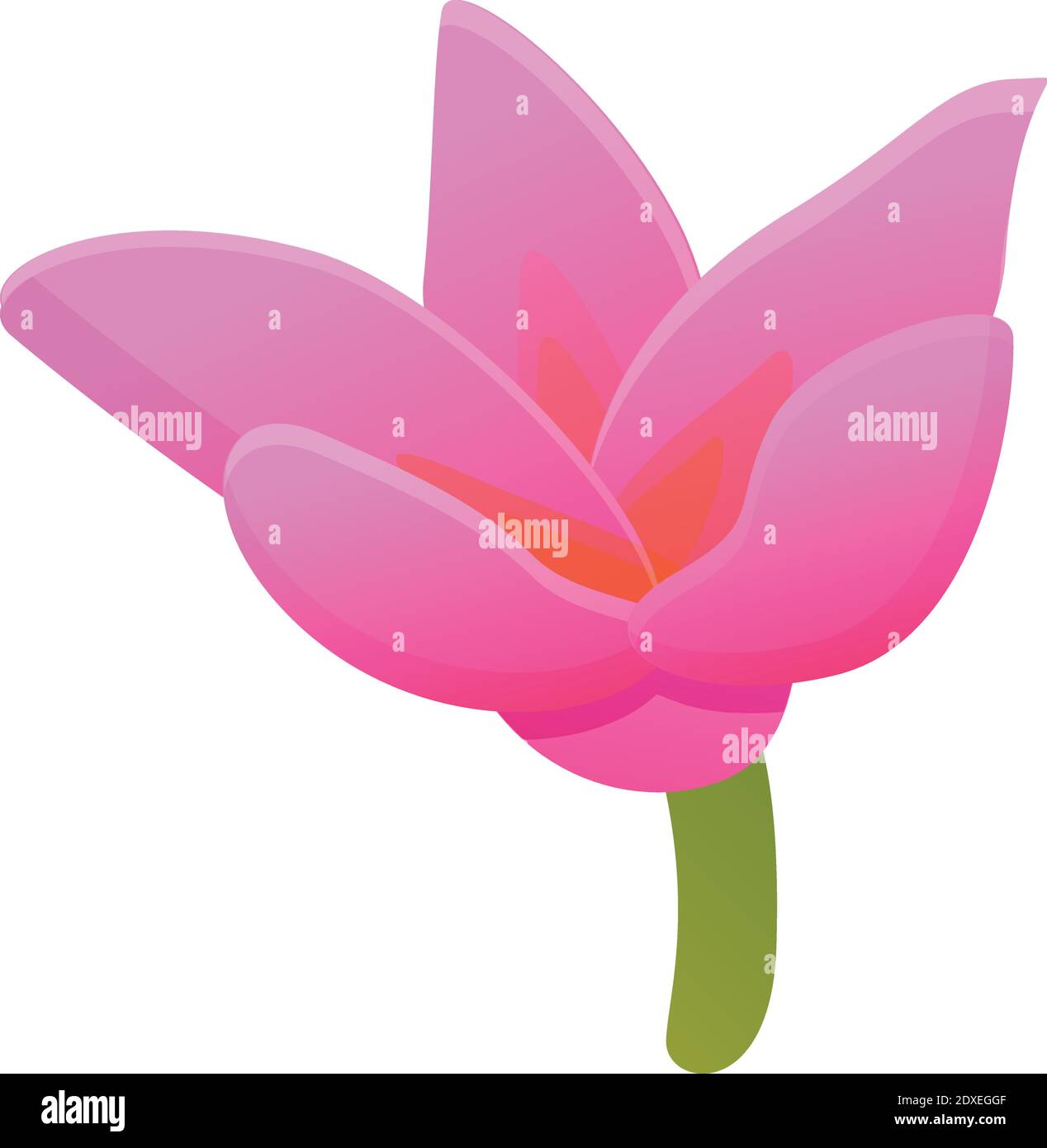 Plumeria frangipani icon. Cartoon of plumeria frangipani vector icon ...