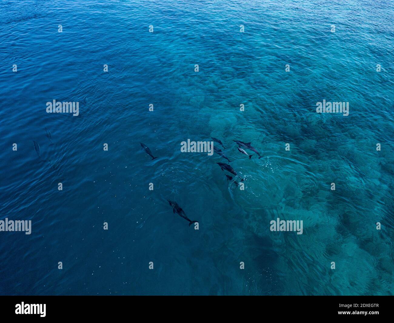 Aerial views of dolphin hi-res stock photography and images - Alamy