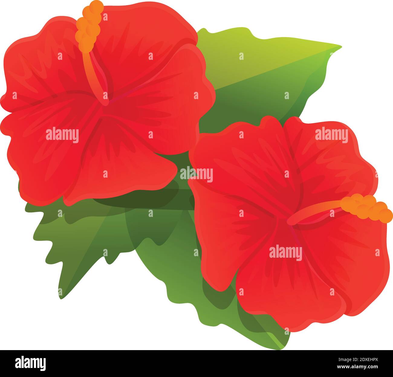 Bloom hibiscus icon. Cartoon of bloom hibiscus vector icon for web ...