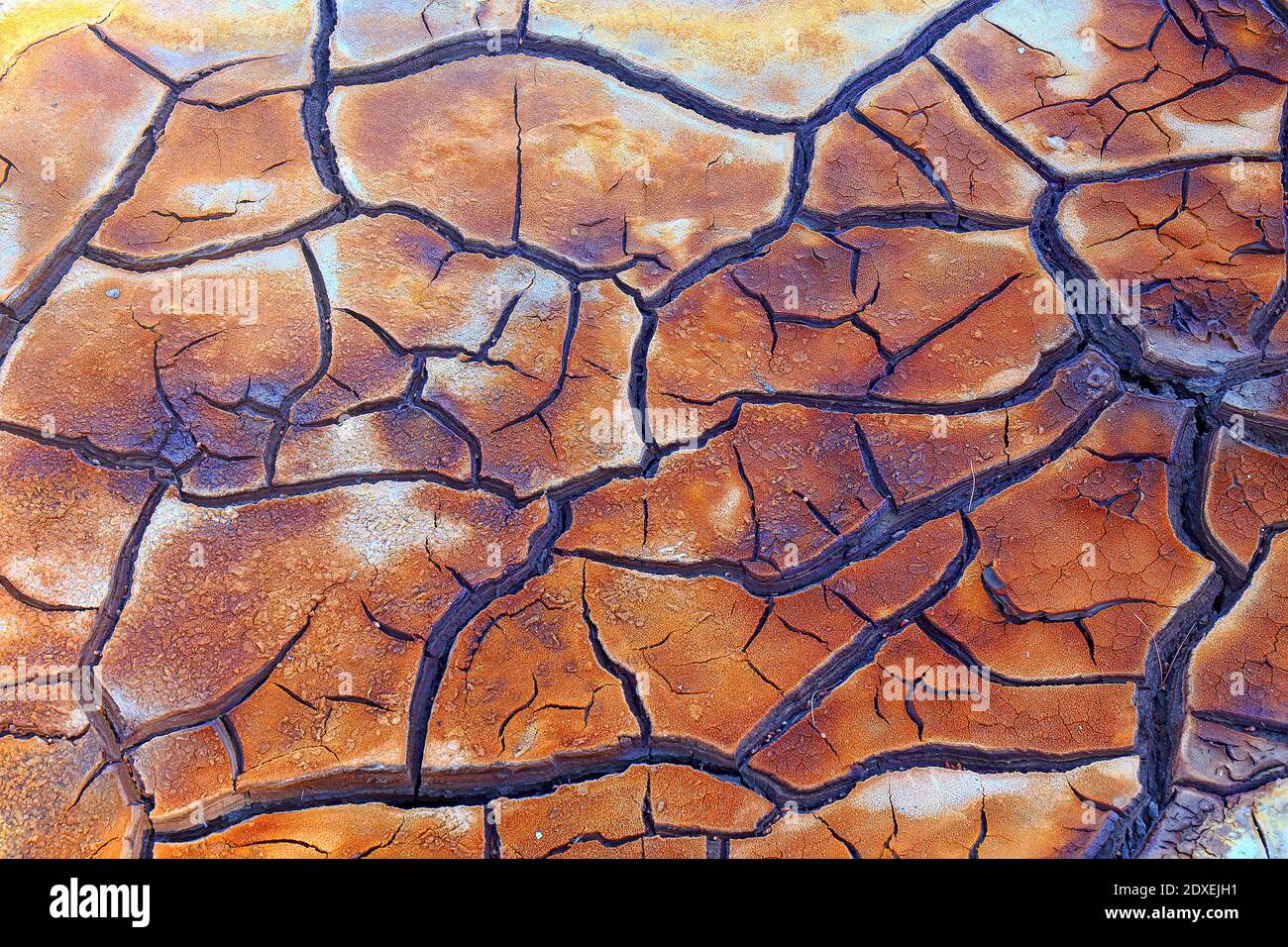 Cracked dried riverbed Stock Photo - Alamy