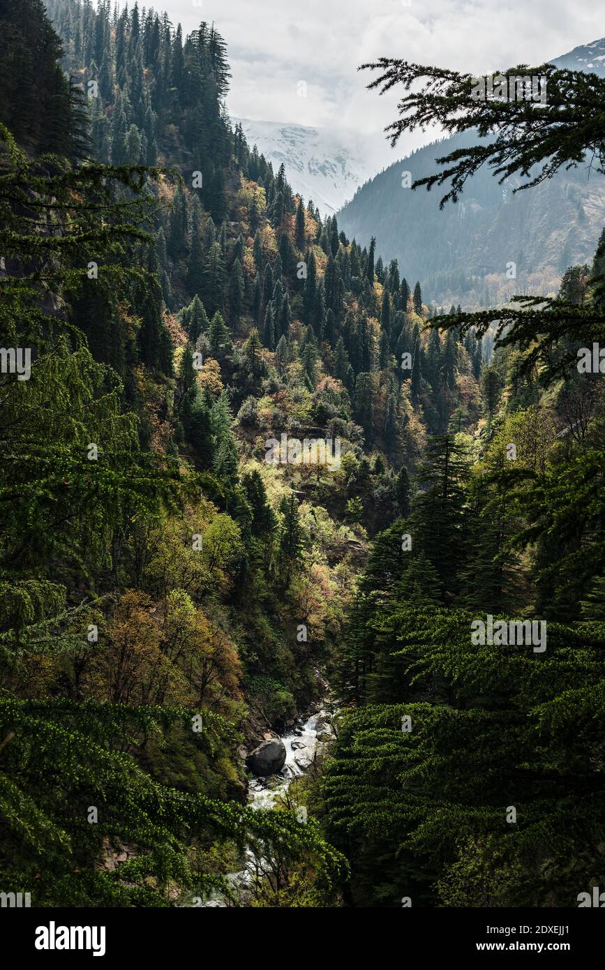 Rivers in himalayas hi-res stock photography and images - Alamy