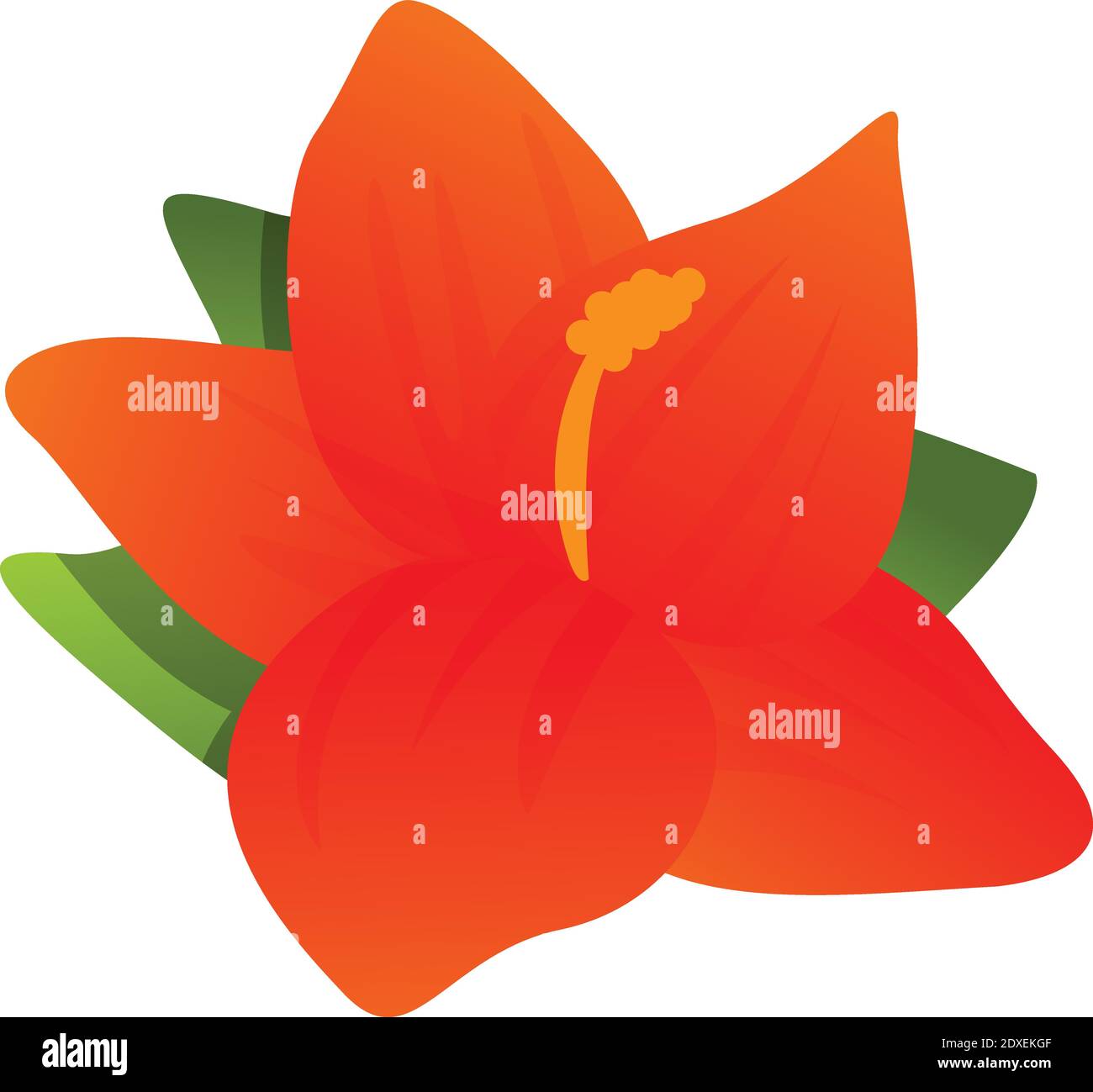 Hawaii hibiscus icon. Cartoon of hawaii hibiscus vector icon for web ...