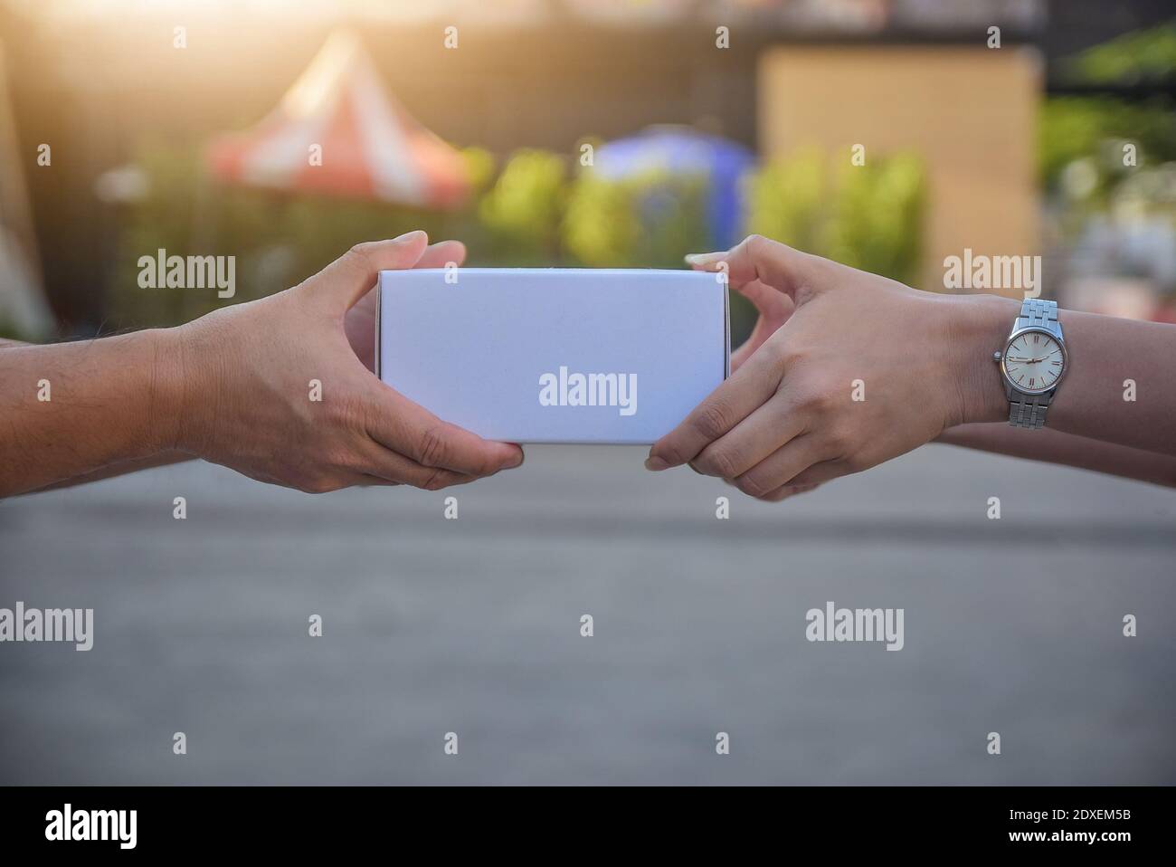 Hand holding gift box and Stock Photo - Alamy