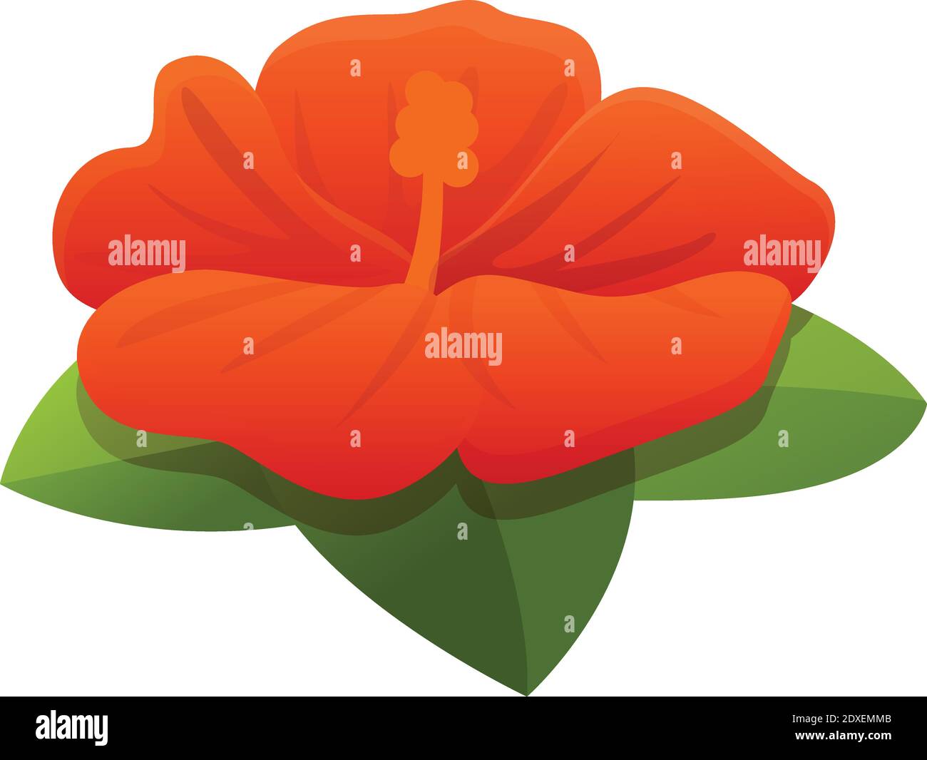 Beach hibiscus icon. Cartoon of beach hibiscus vector icon for web ...