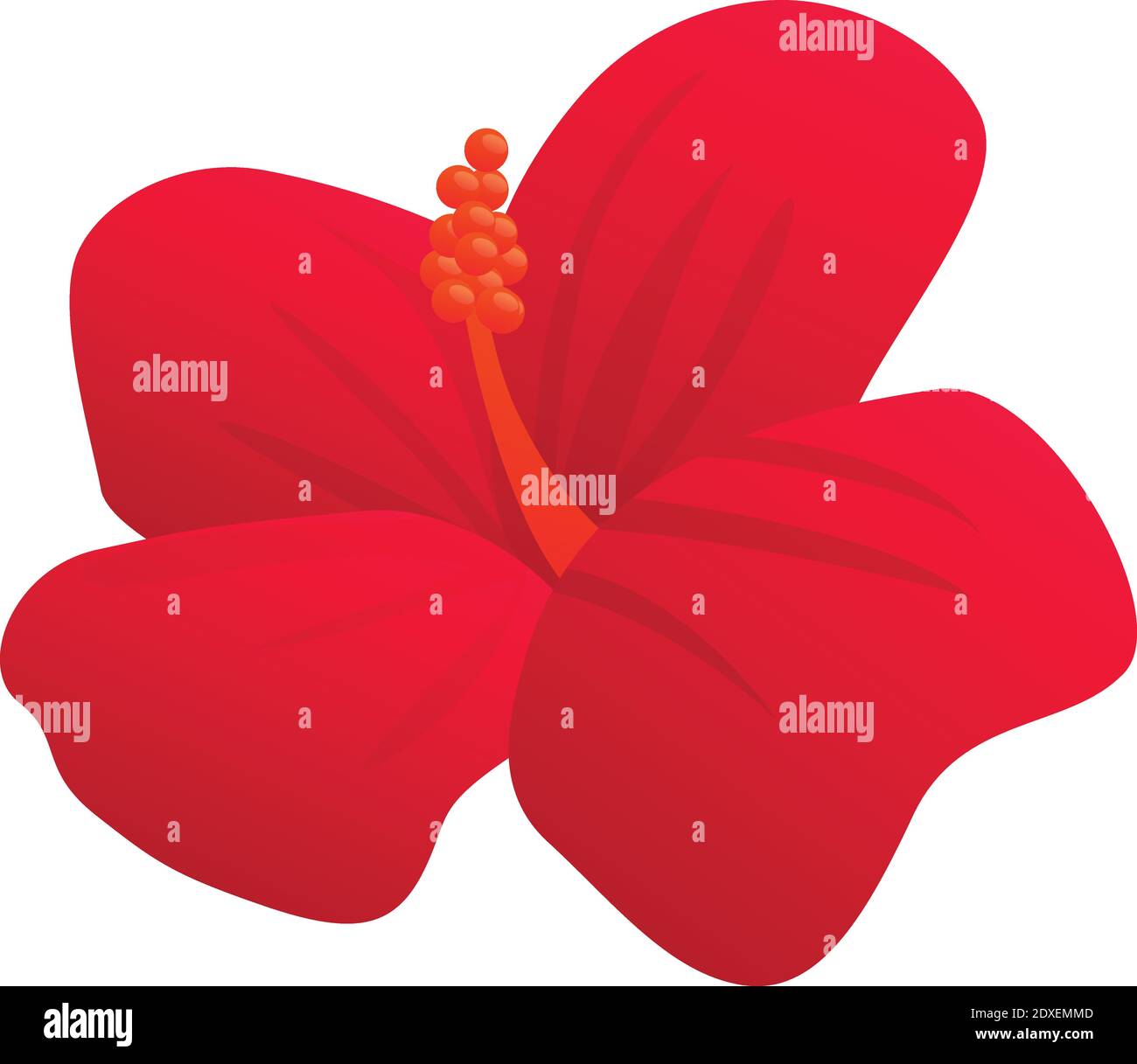 Aroma hibiscus icon. Cartoon of aroma hibiscus vector icon for web ...