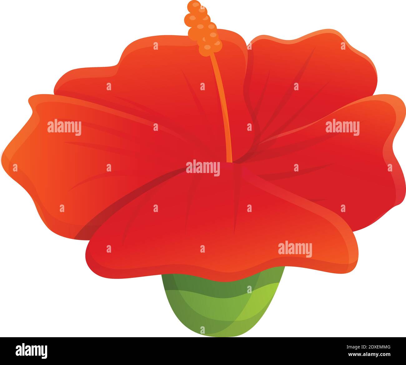Exotic hibiscus icon. Cartoon of exotic hibiscus vector icon for web ...