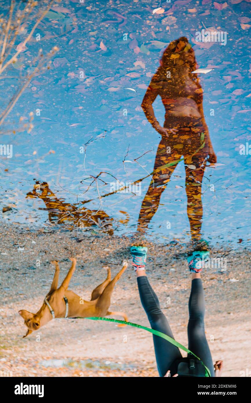 Reflection of woman and dog in puddle Stock Photo - Alamy