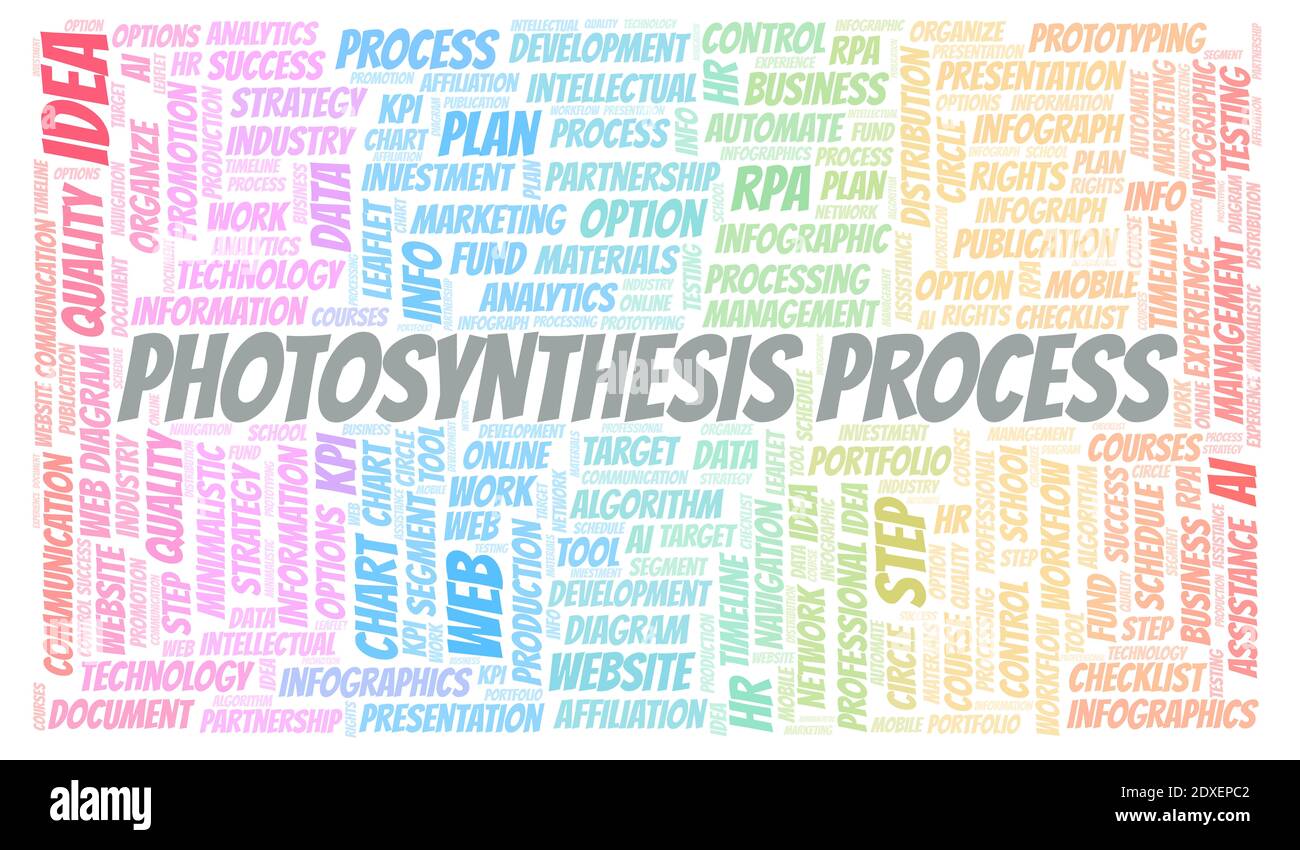 Photosynthesis Process typography word cloud create with text only ...