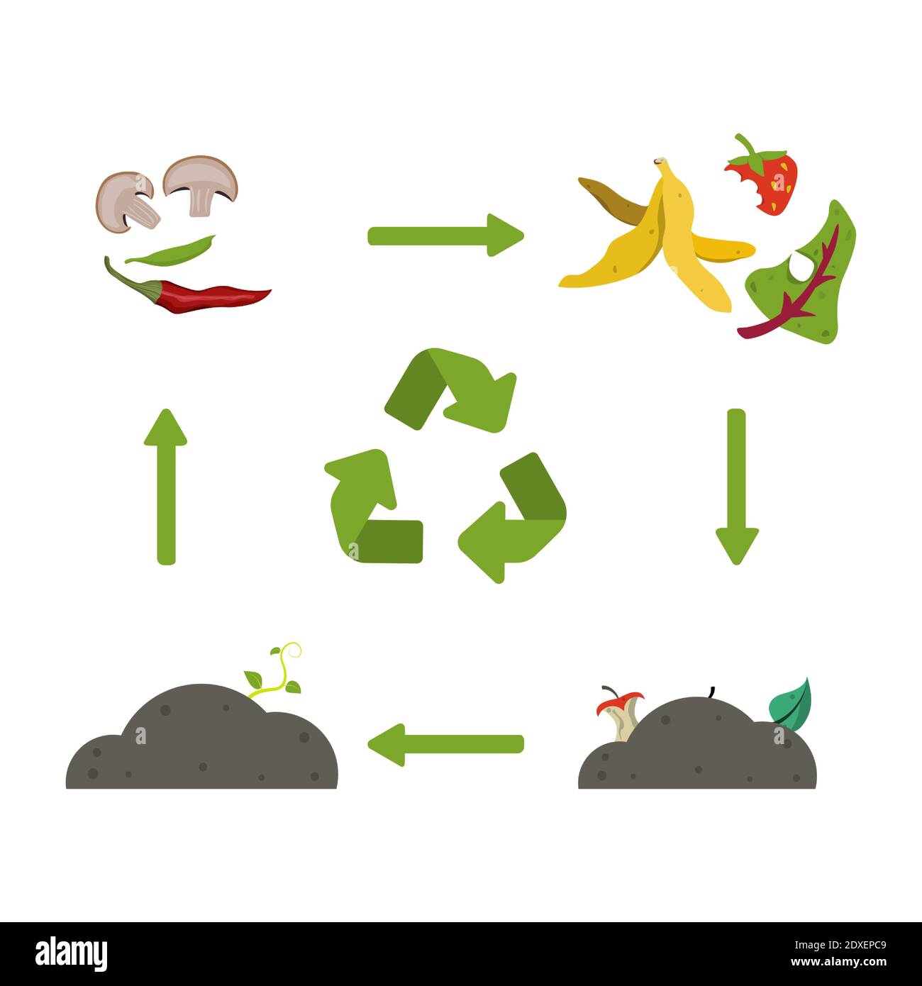 Organic Recycle Compost Food Waste Cycle Vector Illustration Stock