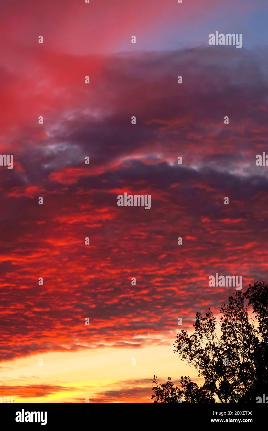 Portrait size photo of sunset hi-res stock photography and images - Alamy