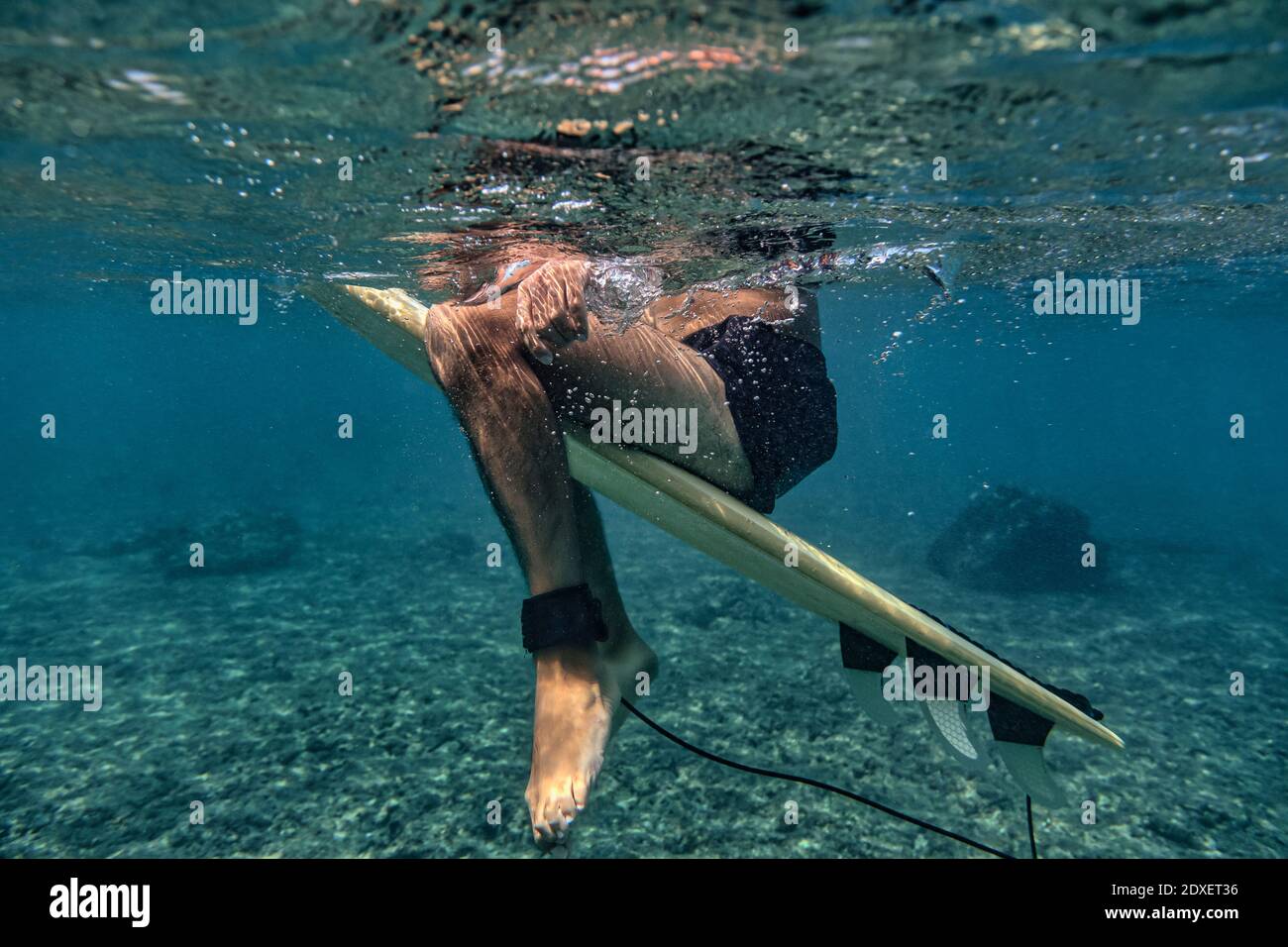 Adult surfboard hi-res stock photography and images - Alamy
