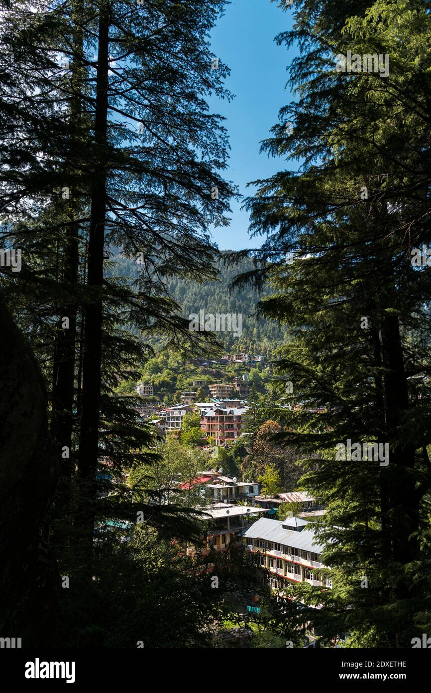 India, Himachal Pradesh, Manali, Buildings and trees in mountain ...