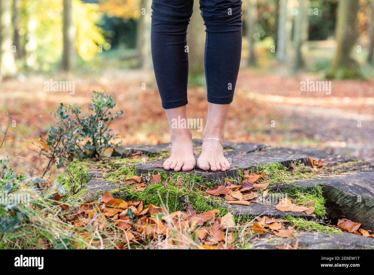 Woman standing barefoot on rock in Cannock Chase woodland Stock Photo ...