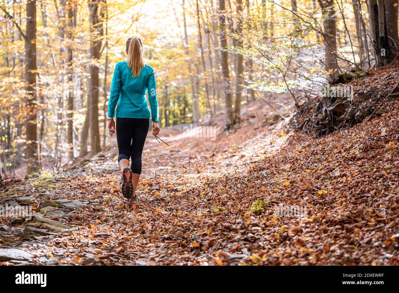Exploring health hi-res stock photography and images - Alamy