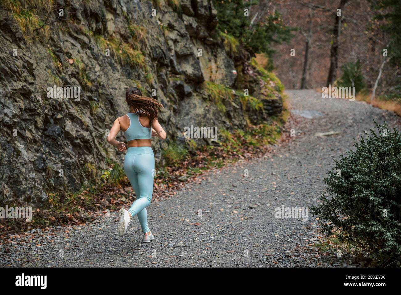 Woman running forest rear hi-res stock photography and images - Alamy