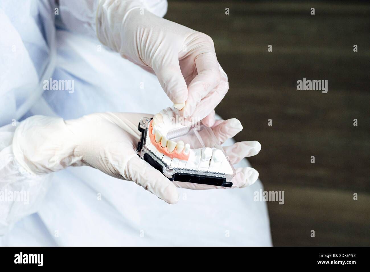 Woman making dentures hi-res stock photography and images - Alamy