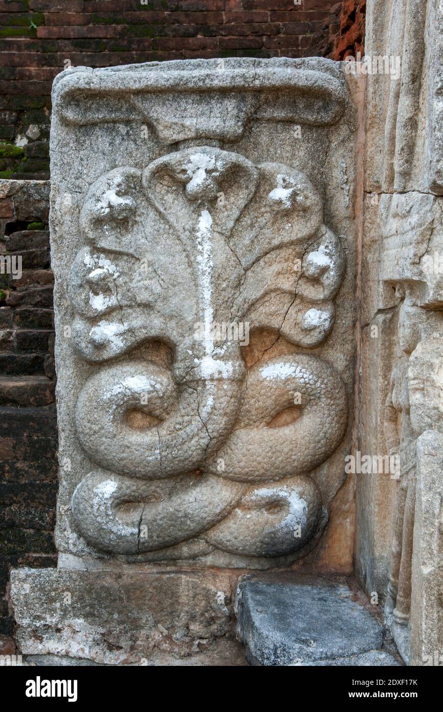 A seven headed stone carved cobra guardstone at the 3rd century ...