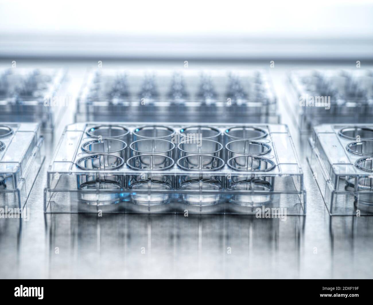 Microplates hi-res stock photography and images - Alamy