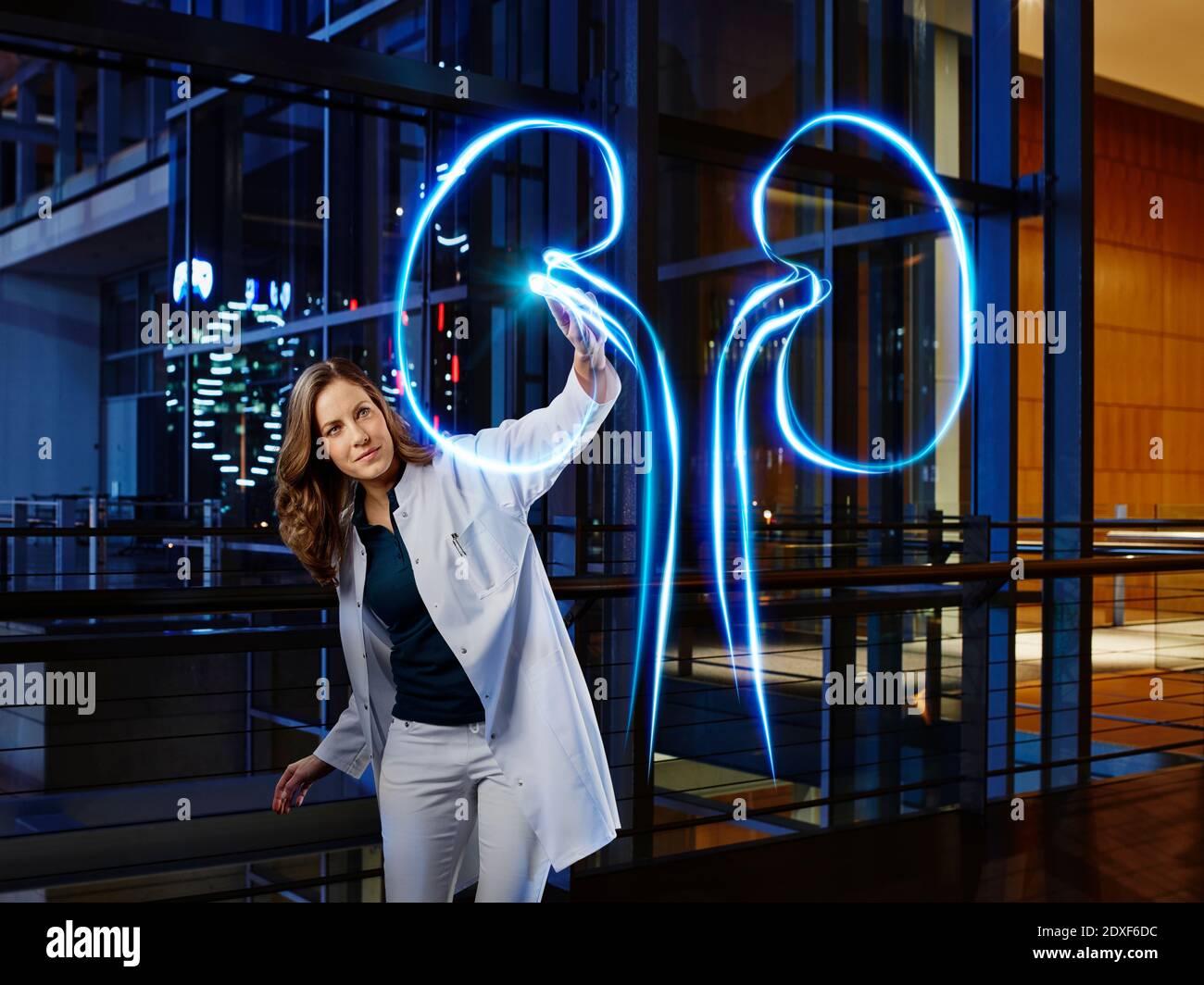 Female nephrologist analyzing kidney in laboratory at hospital Stock ...