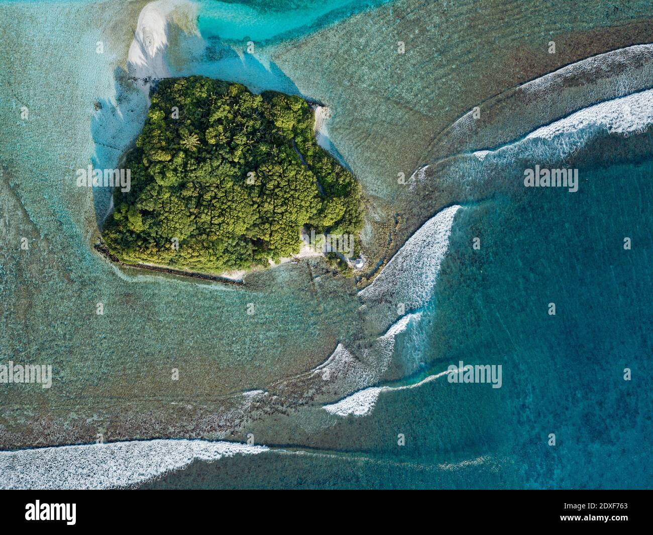 Maldives, Kaafu Atoll, Aerial view of small grove on Huraa island Stock ...