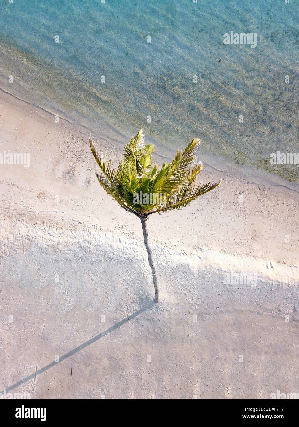 Palm beaches birds eye view hi-res stock photography and images - Alamy