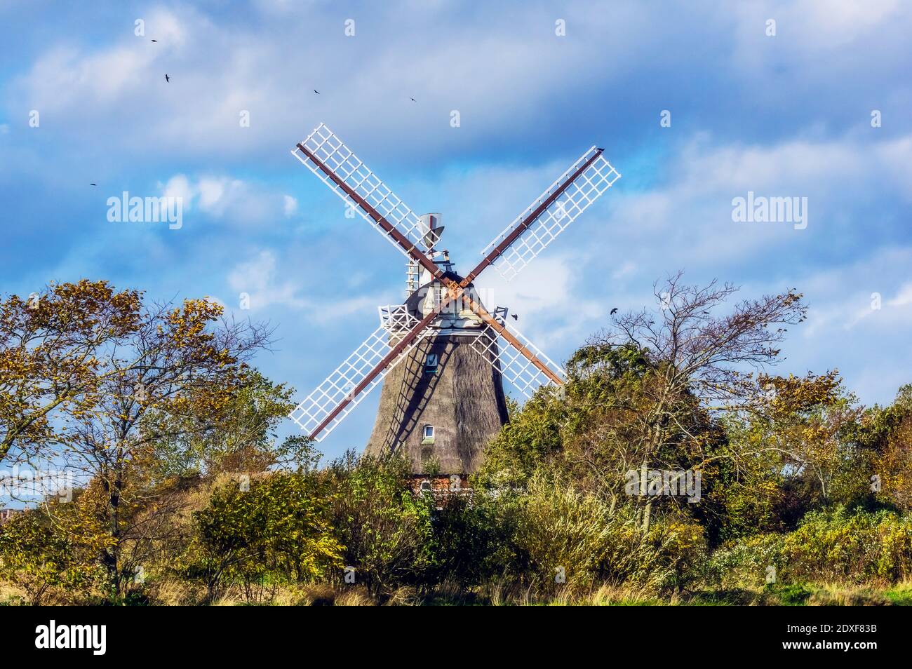Wooden windmill and trees Stock Photo - Alamy