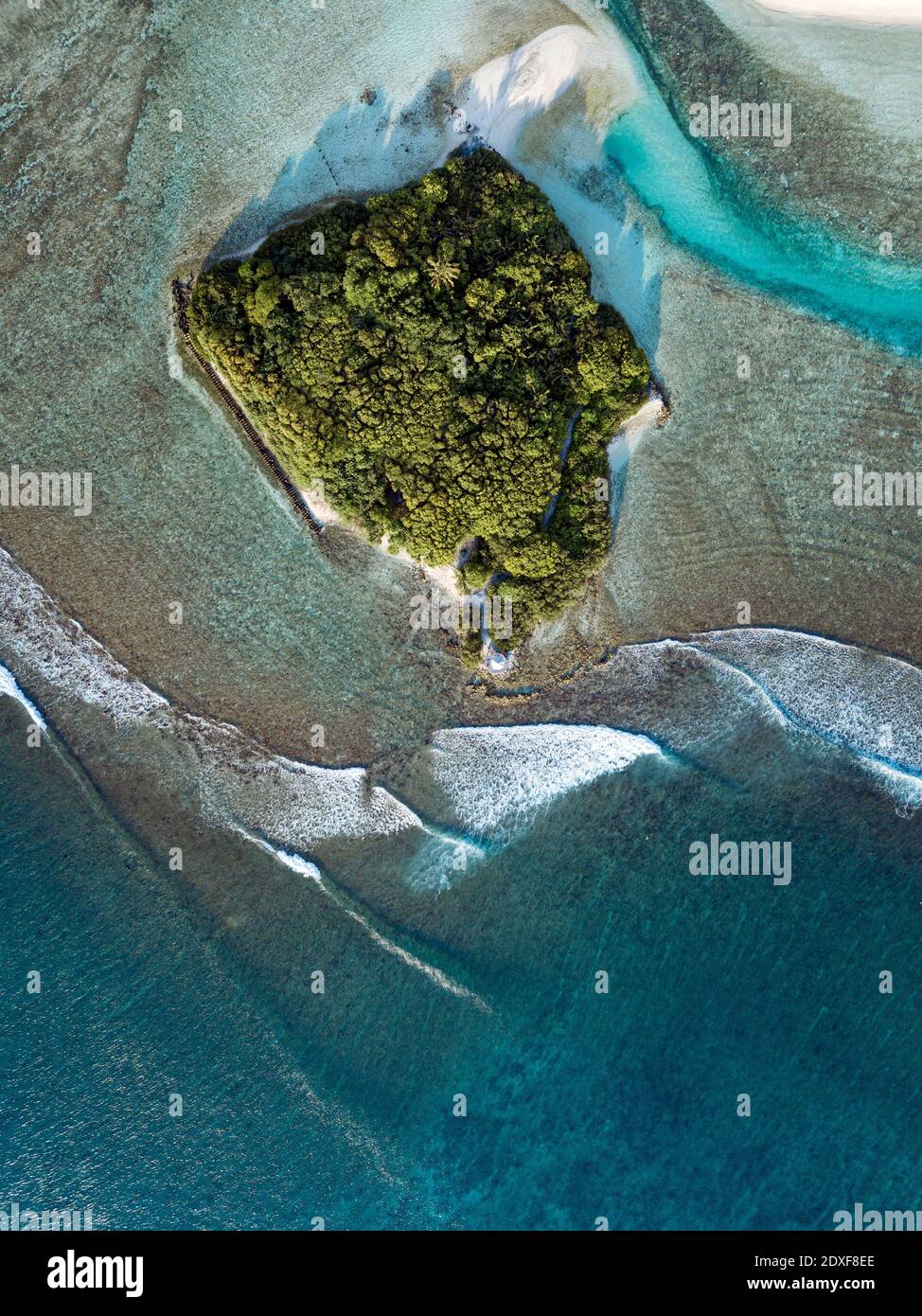 Maldives, Kaafu Atoll, Aerial view of small grove on Huraa island Stock ...