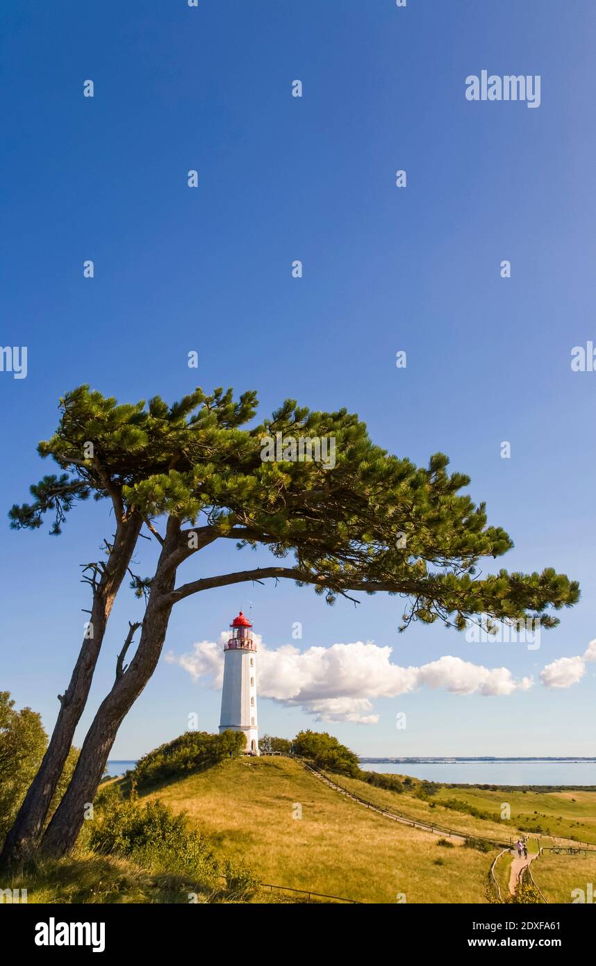 Hiddensee island hi-res stock photography and images - Alamy